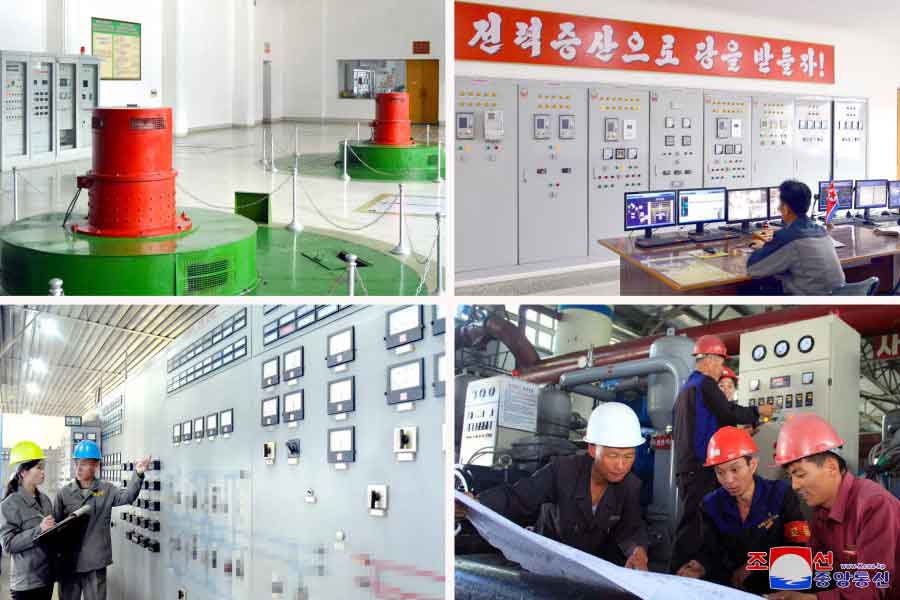 Alienta líder de RPDC desarrollo de la avicultura - Prensa Latina