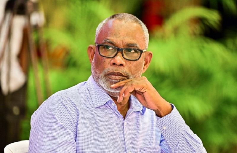 Nuevo Parlamento de Maldivas apoyará mandato de presidente del país - Noticias Prensa Latina