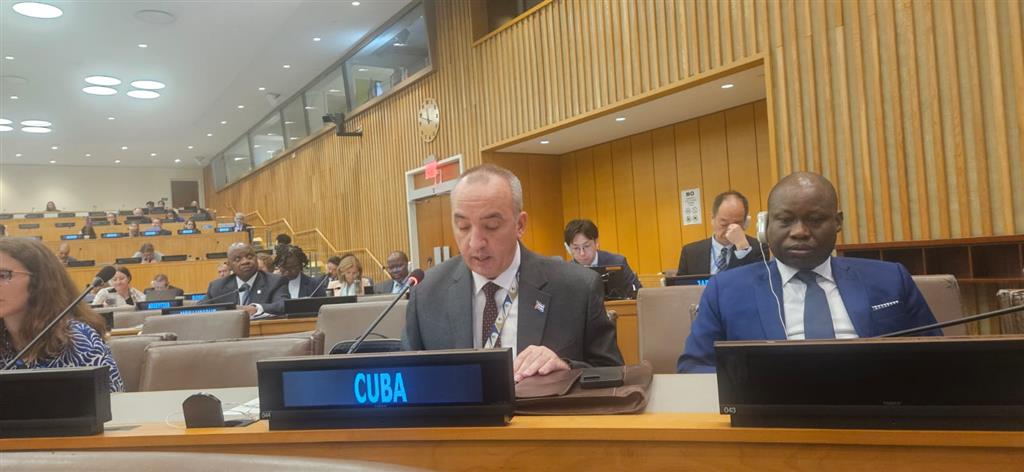 Cuba Ratifica En Onu Compromiso De Trabajo Conjunto Con Unicef